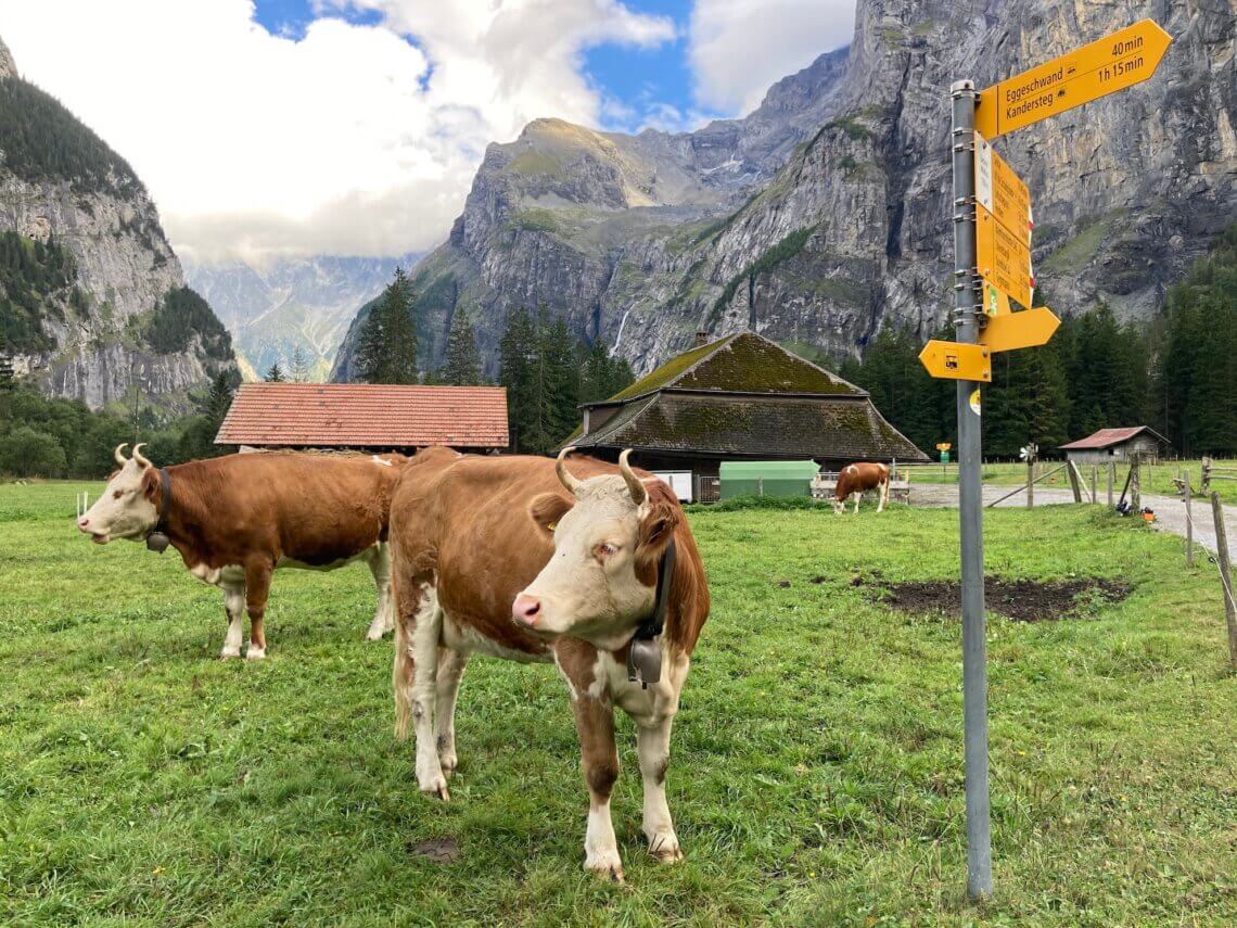 Kandersteg met kinderen in Zwitserland, 11x tips voor gave ...