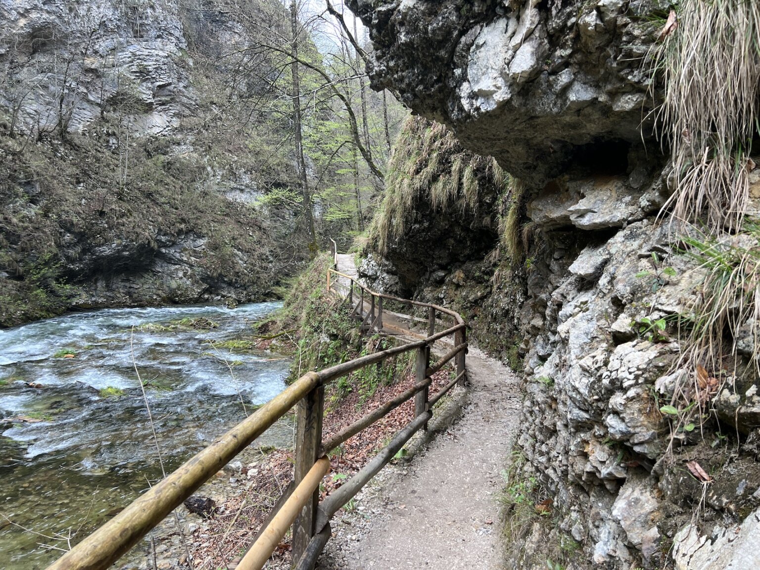 Vintgar kloof in Slovenië: tips en route met kinderen | Kids in de bergen