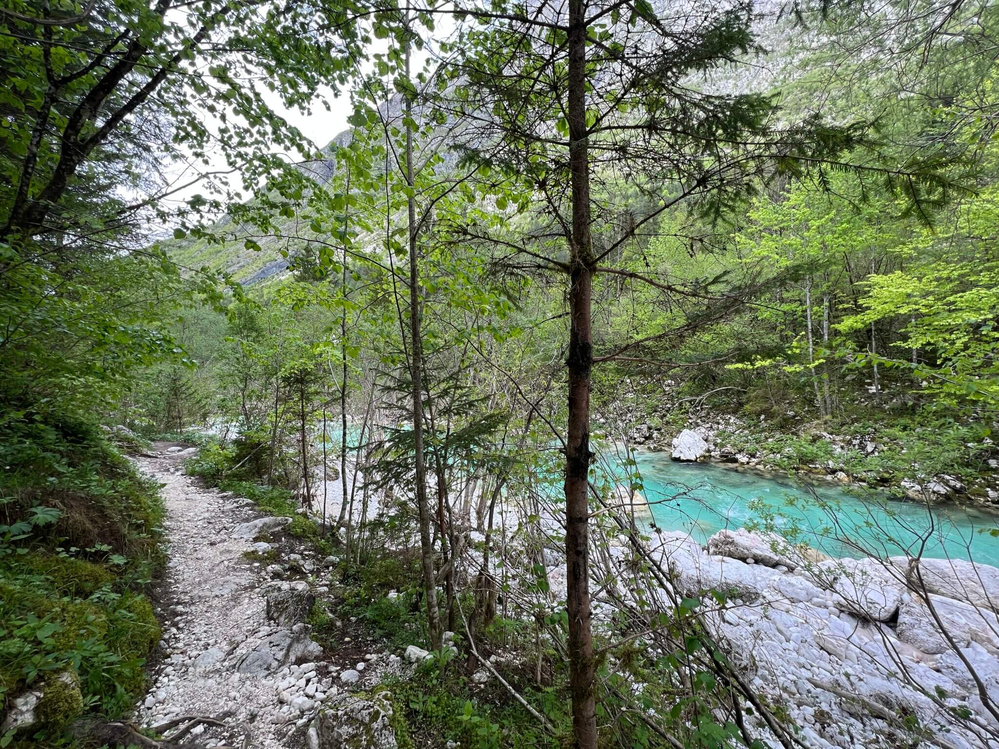 Soča-vallei in Slovenië: 13x kindvriendelijke activiteiten | Kids in de ...