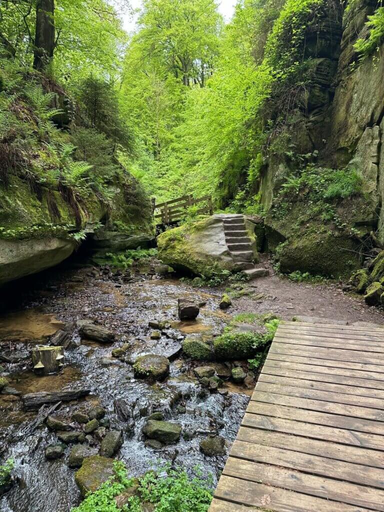 Mullerthal met kinderen in Luxemburg: tips voor toffe uitjes! | Kids in de bergen
